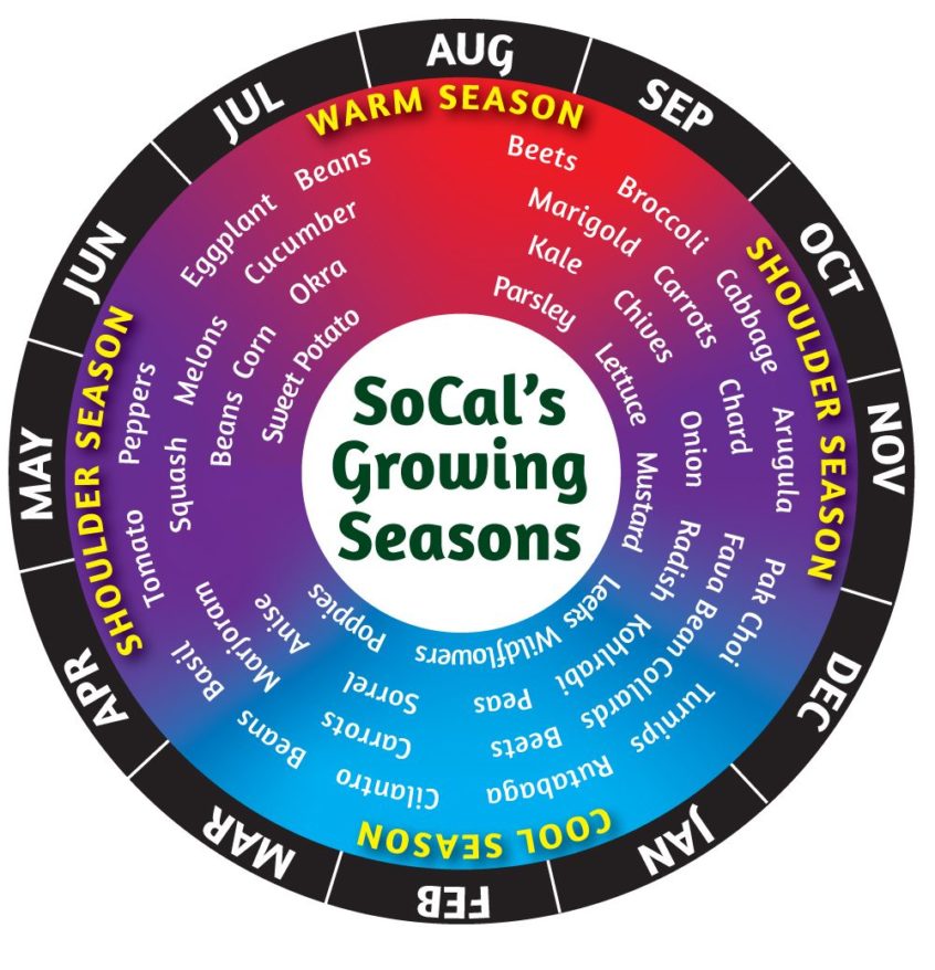 Grow a Vegetable Garden — San Diego Seed Company