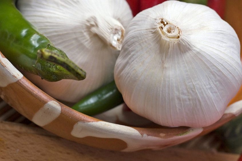 Music Hardneck Garlic Seed — San Diego Seed Company