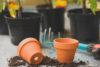 Vegetable Container Size Chart — San Diego Seed Company