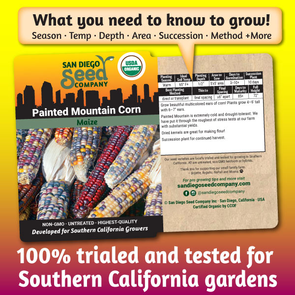 Local Seeds | Buy Local Seeds from San Diego Seed Company
