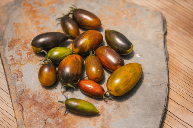 Organic Brad's Atomic Grape Tomato Seeds — San Diego Seed Company