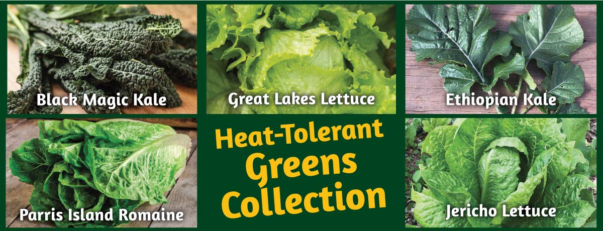 Local Seeds | Buy Local Seeds from San Diego Seed Company