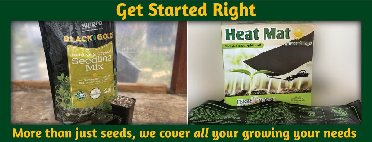 Local Seeds | Buy Local Seeds from San Diego Seed Company