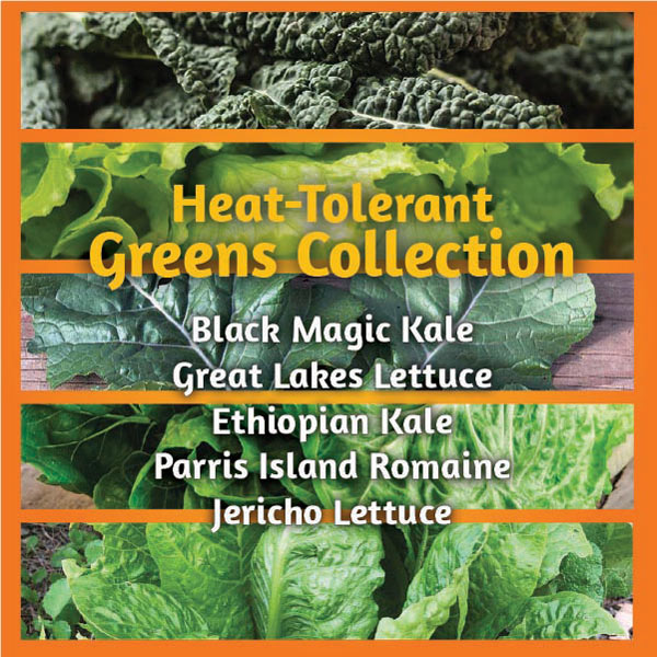 Local Seeds | Buy Local Seeds from San Diego Seed Company