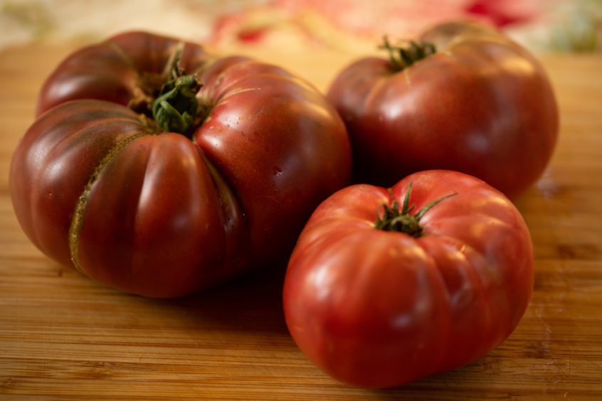 Organic Dwarf Tomato Rosella Purple Seeds — San Diego Seed Company