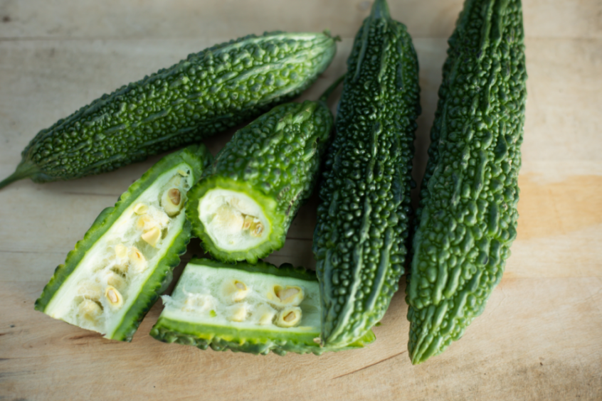 Organic Bitter Melon Gourd Seeds — San Diego Seed Company