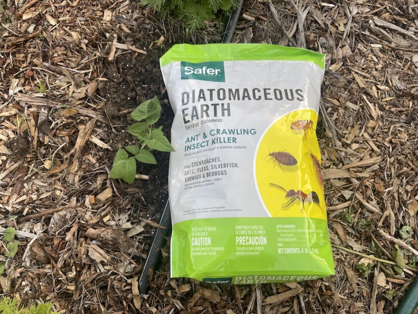 Diatomaceous Earth — San Diego Seed Company