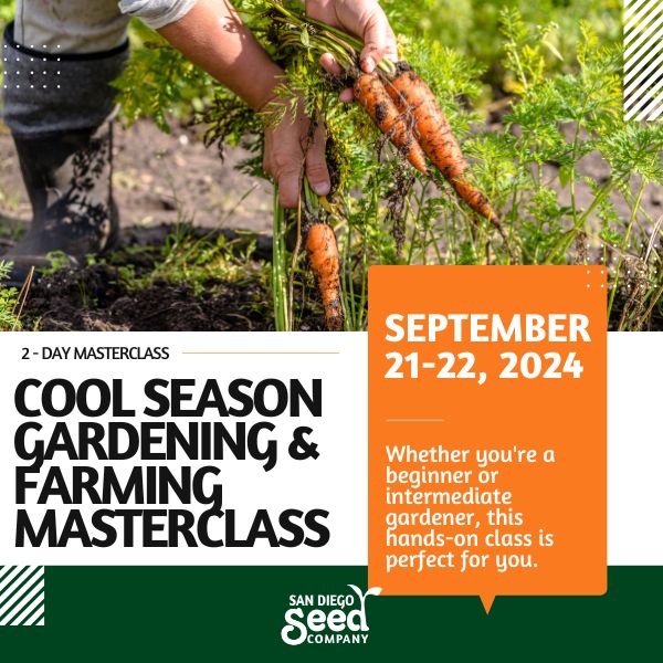 Organic Local Seeds | Buy Organic Seeds from SD Seed Company