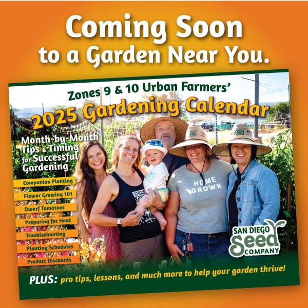 Organic Local Seeds | Buy Organic Seeds from SD Seed Company